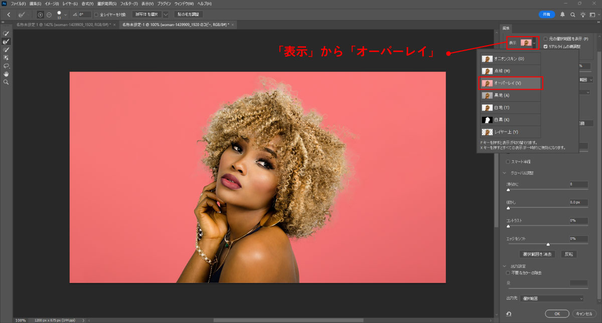 Photoshopで背景をキレイに切り抜き！人物、髪の毛などに対応 - Howling Wood